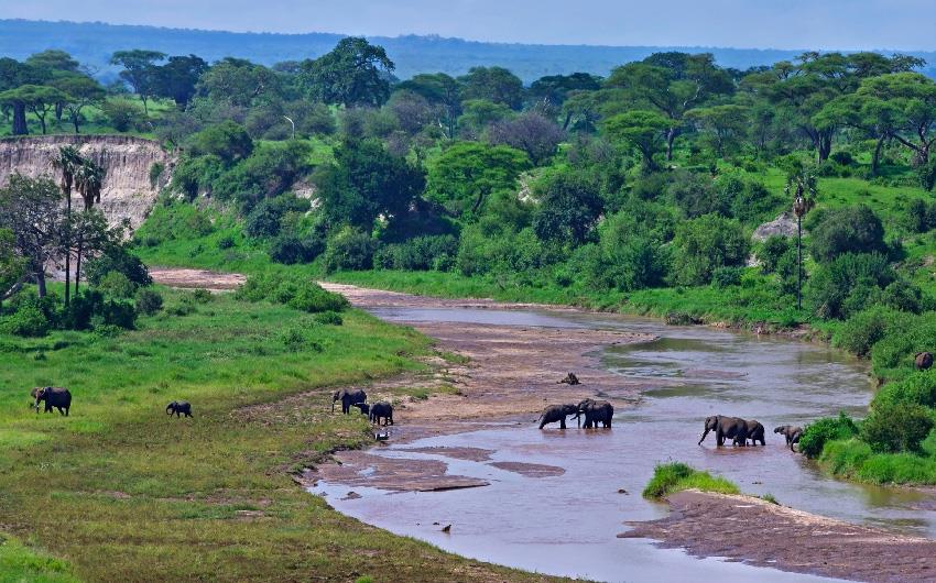 Conheça a Tanzânia com a Atlantic Connection Travel